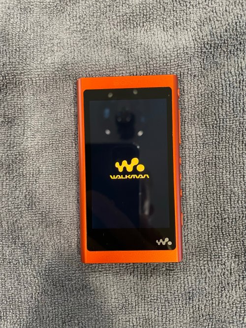 Sold: Sony Walkman NW-A55 | Headphone Reviews and Discussion - Head-Fi.org