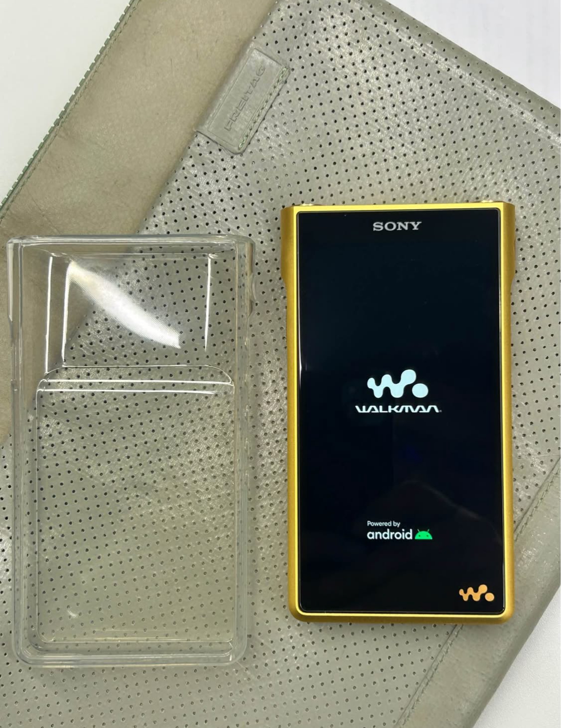 SONY NW-WM1Z M2 / WM1A M2 | Headphone Reviews and Discussion - Head-Fi.org