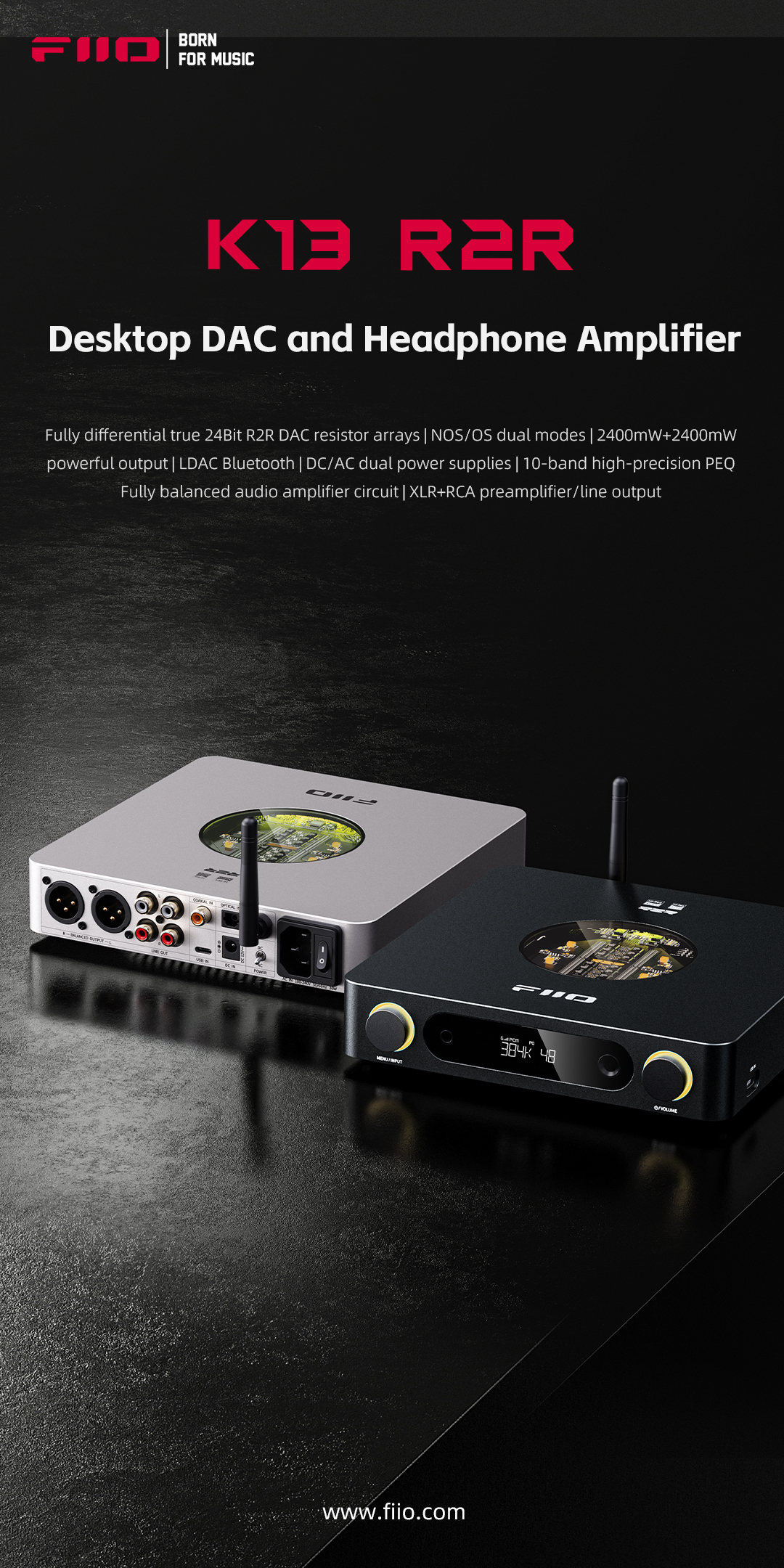 FIIO 24Bit Fully Balanced R2R DAC and Headphone Amplifier K13 R2R Is Officially Released ...