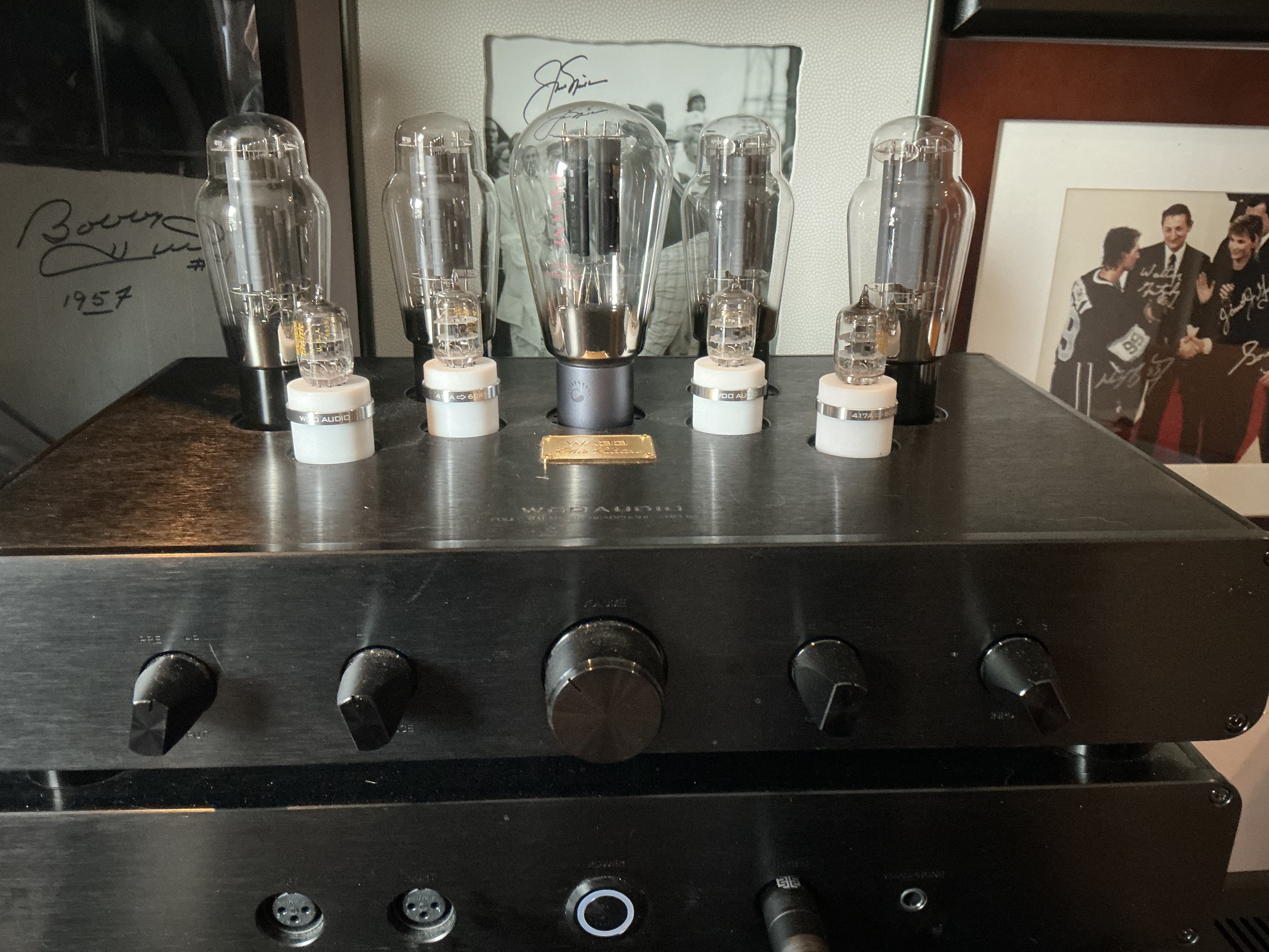Woo's New Flagship WA33 | Page 234 | Headphone Reviews and Discussion ...