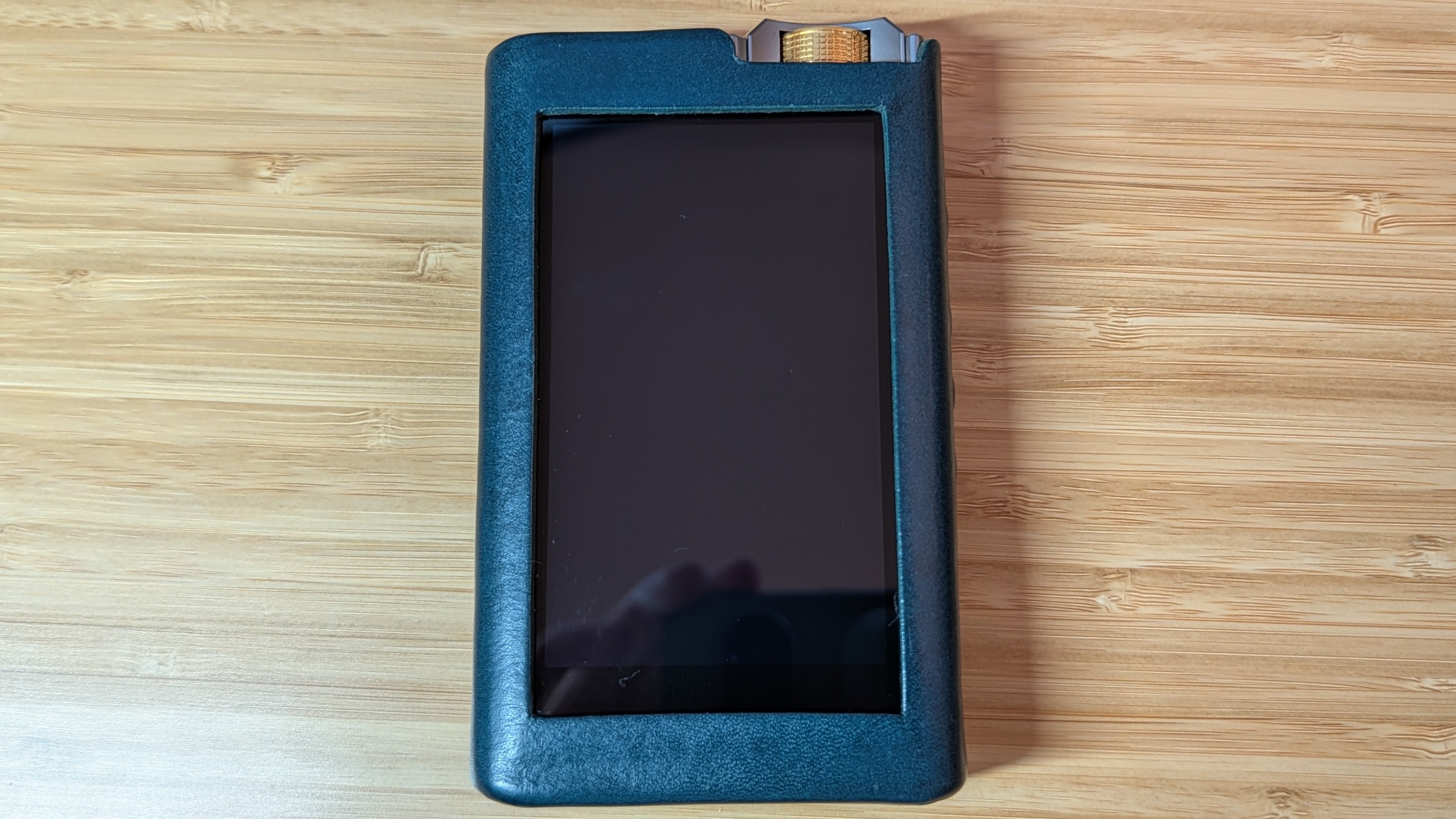 LPGT & Ti Blue Leather Case | Headphone Reviews and Discussion - Head ...