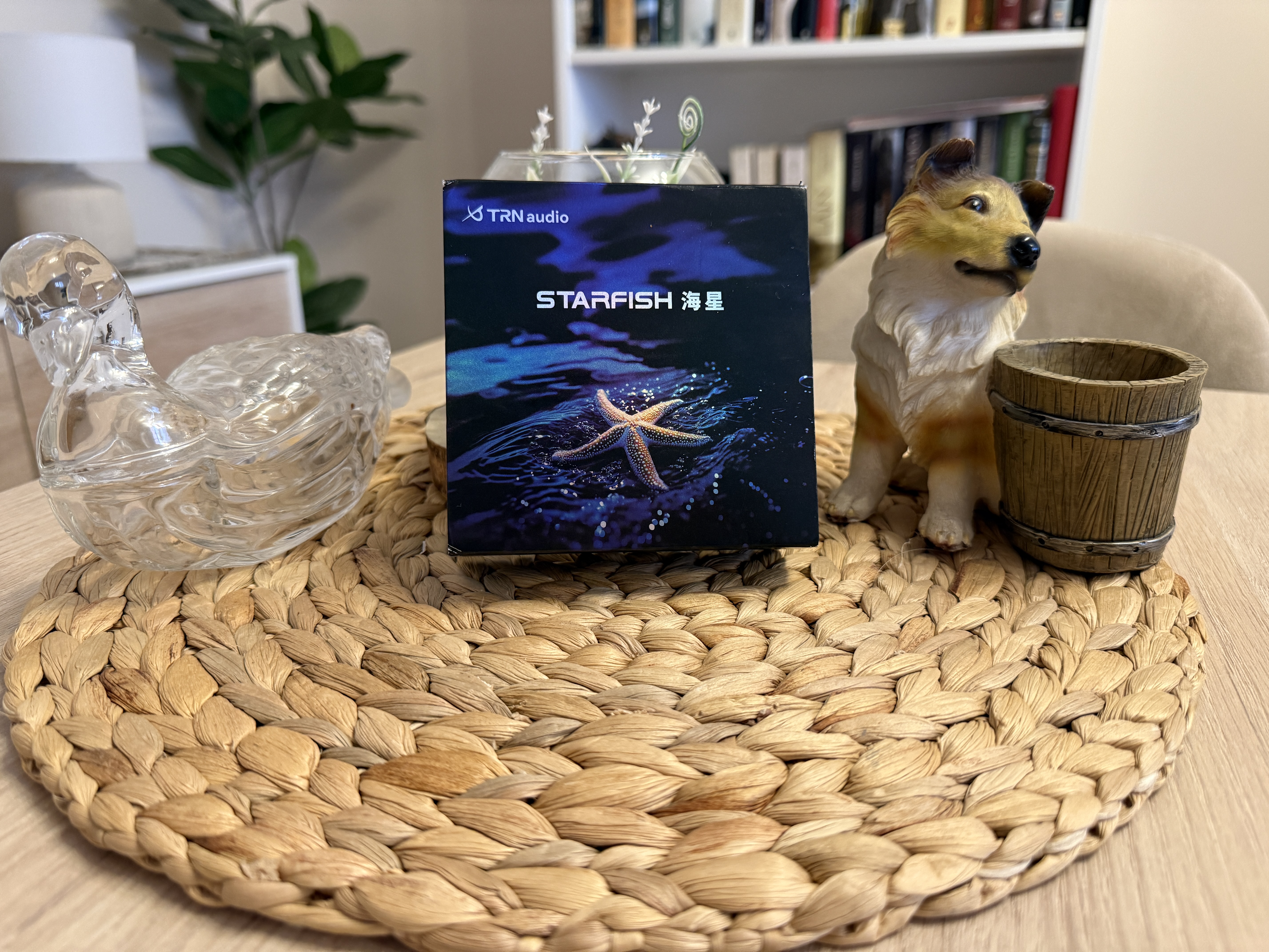 TRN STARFISH - Reviews | Headphone Reviews and Discussion - Head-Fi.org