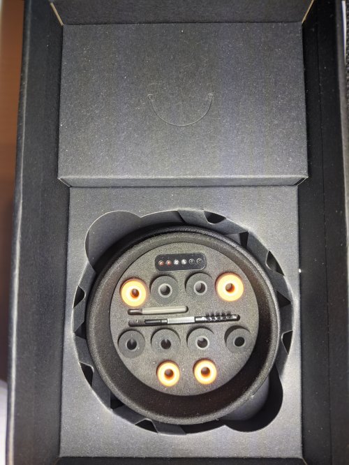 Fir Audio Radon 6 RN6 | Headphone Reviews and Discussion - Head-Fi.org