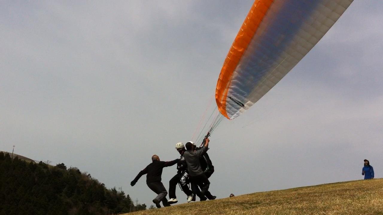 Disturbin' tha Peace Pt2 | Headphone Reviews and Discussion - Head-Fi.org