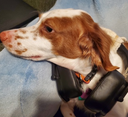 SMOoth Operator | Headphone Reviews and Discussion - Head-Fi.org